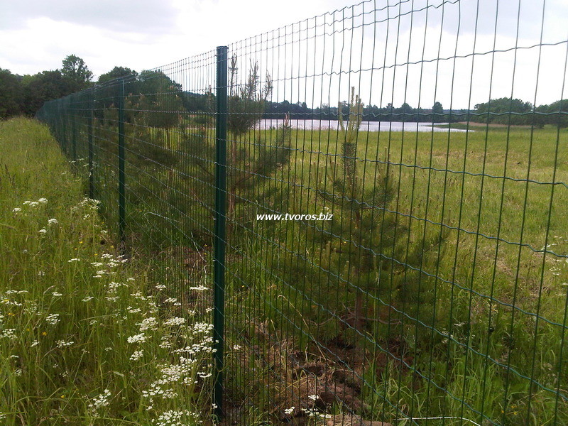 Tinklines tvoros | Tvora Segmentines tvoros